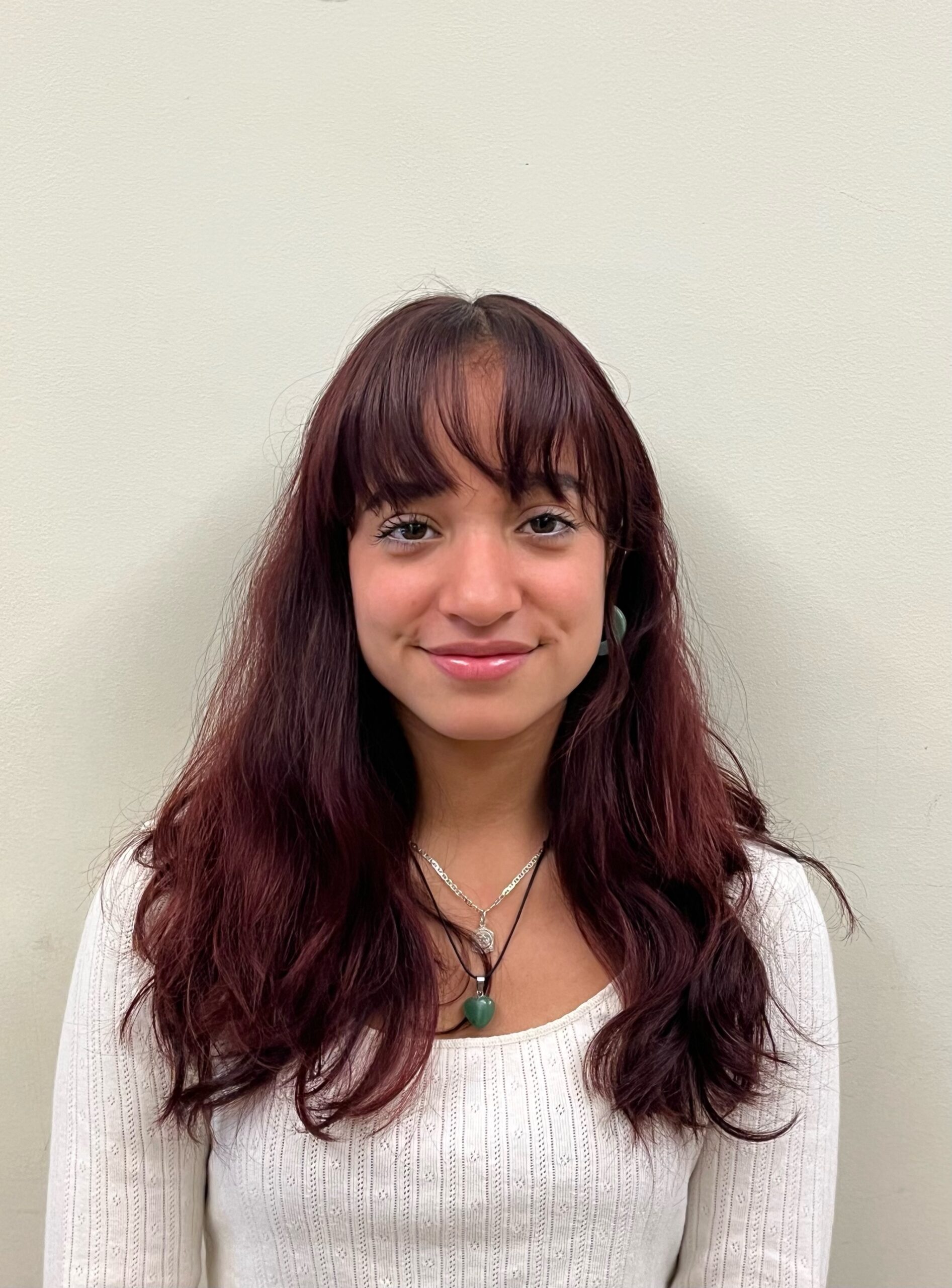 RARE Awards 2023 Scholarships – Roosevelt Alumni for Racial Equity (RARE)